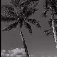 Azriel Ruggles | Instagram | Linktree