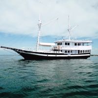 AKASSA - GIONA - DERYA | Linktree