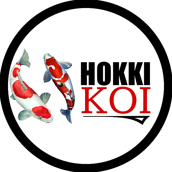 @hokki_koi | Linktree