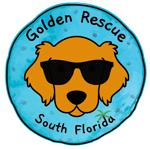 Golden Rescue South Florida | Twitter, Instagram, Facebook | Linktree