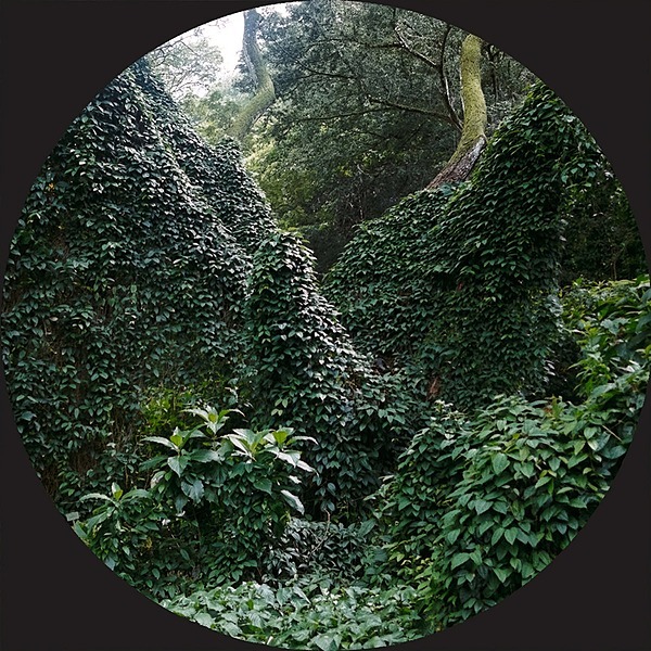 @secondnatureseattle | Linktree