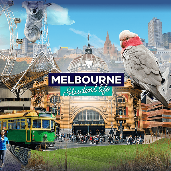 Study & life in Melbourne | Facebook | Linktree