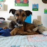 GD Mister | Linktree